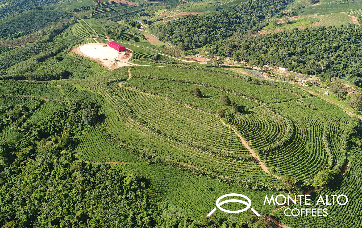 Monte Alto Coffees
